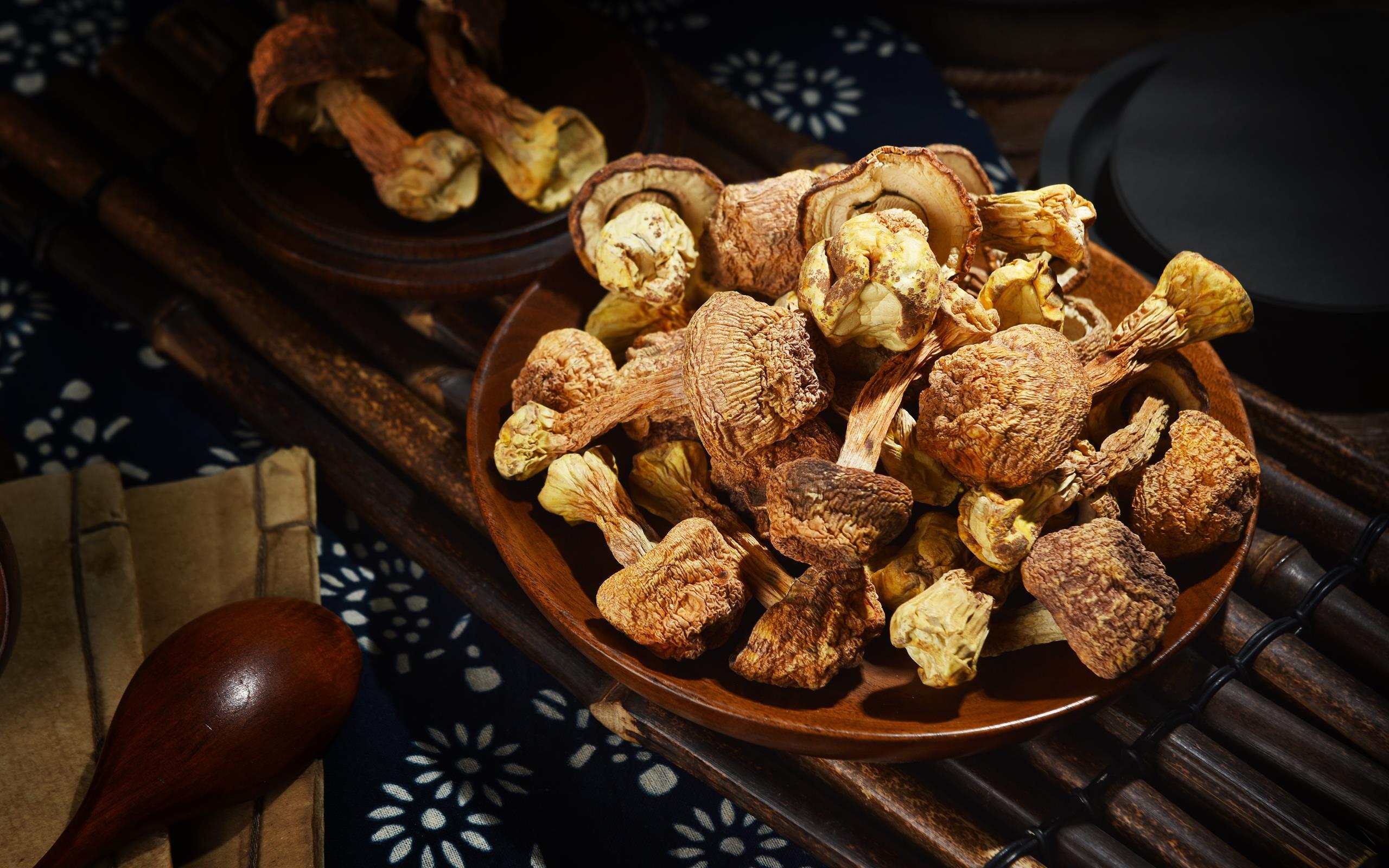 Wild Fungus |Visit Colorful Yunnan Of China