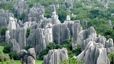 The Stone Forest Facts