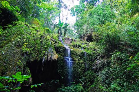 Tropical Encounters in Xishuangbanna-A Five-Day Journey Through China’s ...